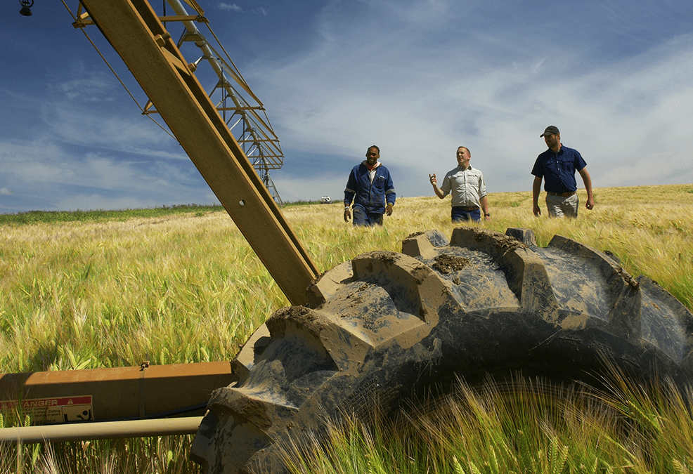 Reënval verslag - Overberg Agri